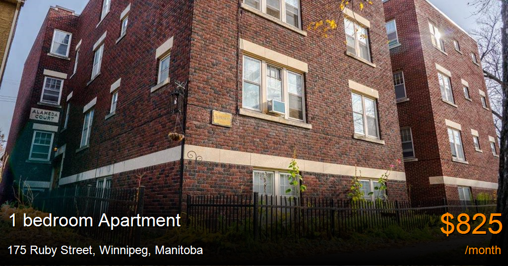 175 ruby street, winnipeg - Apartment for Rent
