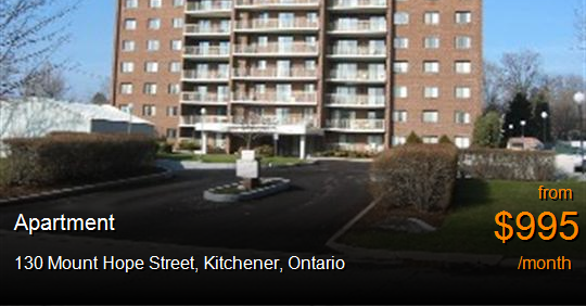 130 mount hope street, kitchener - Apartment for Rent
