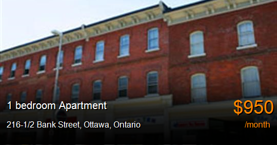 216-1/2 bank street, ottawa - Apartment for Rent